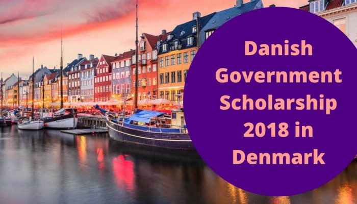 Danish Government Scholarship 2018 in Denmark | Pay Your Interns Foundation
